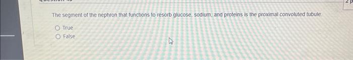 Solved The segment of the nephron that functions to resorb | Chegg.com