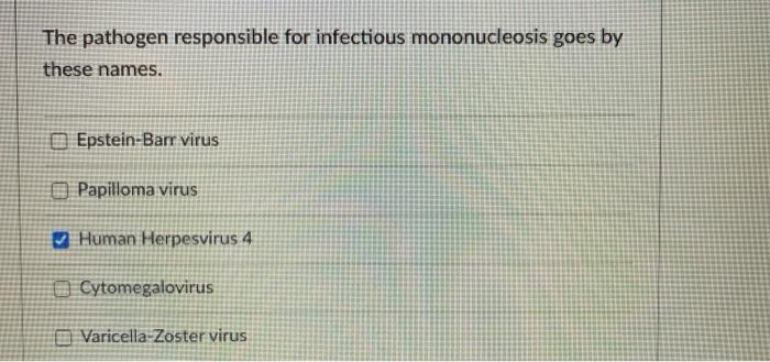 Solved The pathogen responsible for infectious mononucleosis | Chegg.com