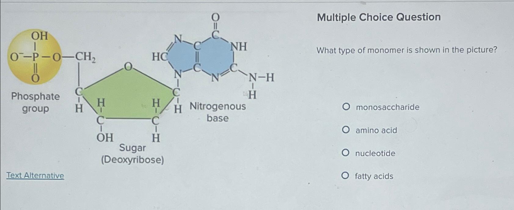 Solved Multiple Choice QuestionWhat type of monomer is shown | Chegg.com