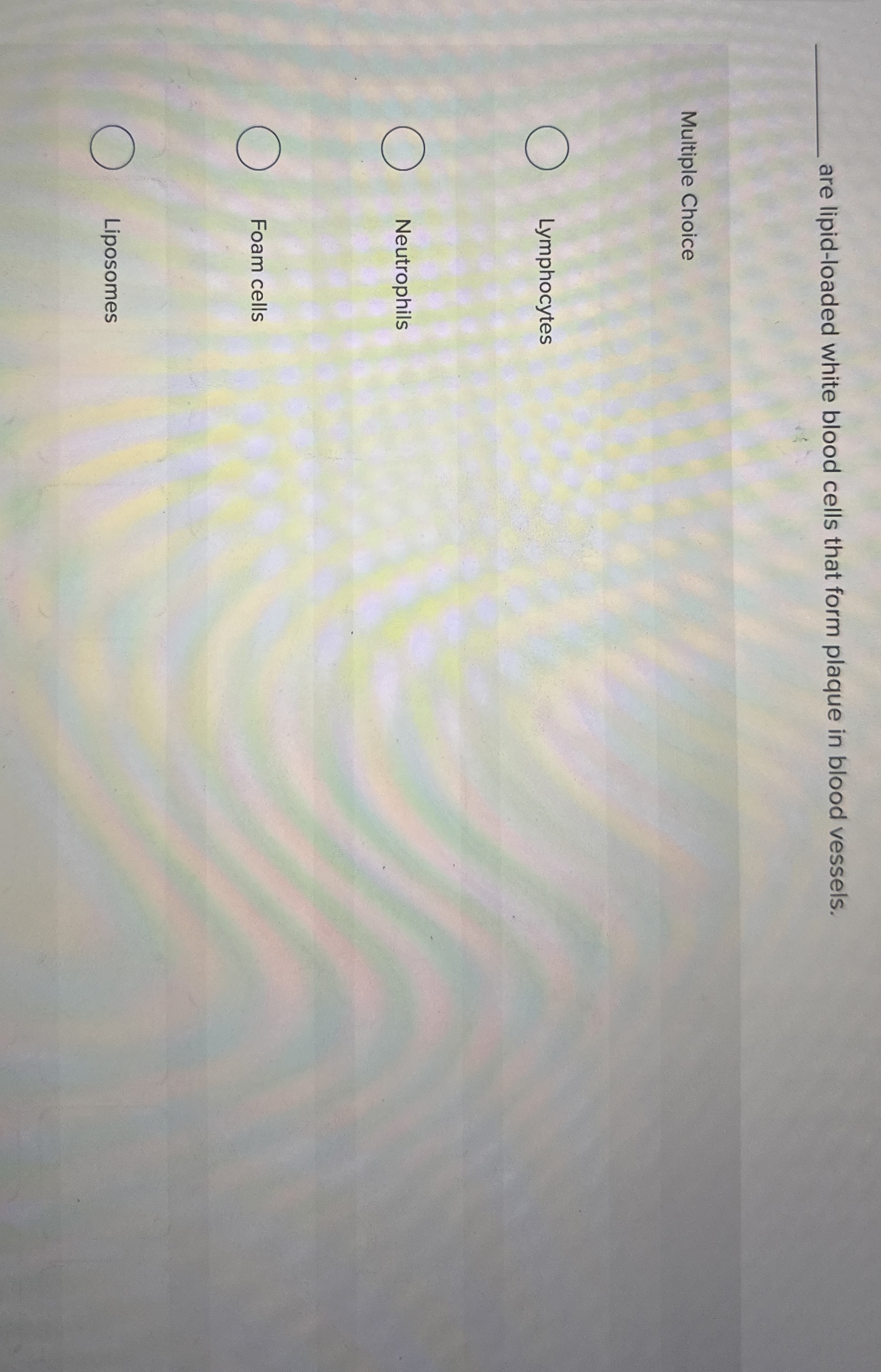 Solved are lipid-loaded white blood cells that form plaque | Chegg.com