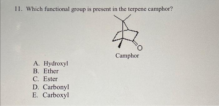 Solved 11. Which functional group is present in the terpene | Chegg.com