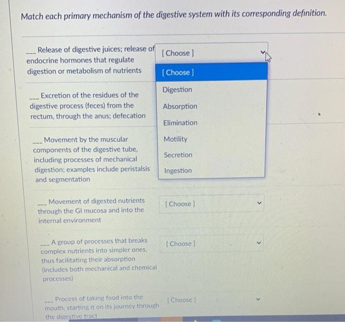 Solved Match each primary mechanism of the digestive system | Chegg.com
