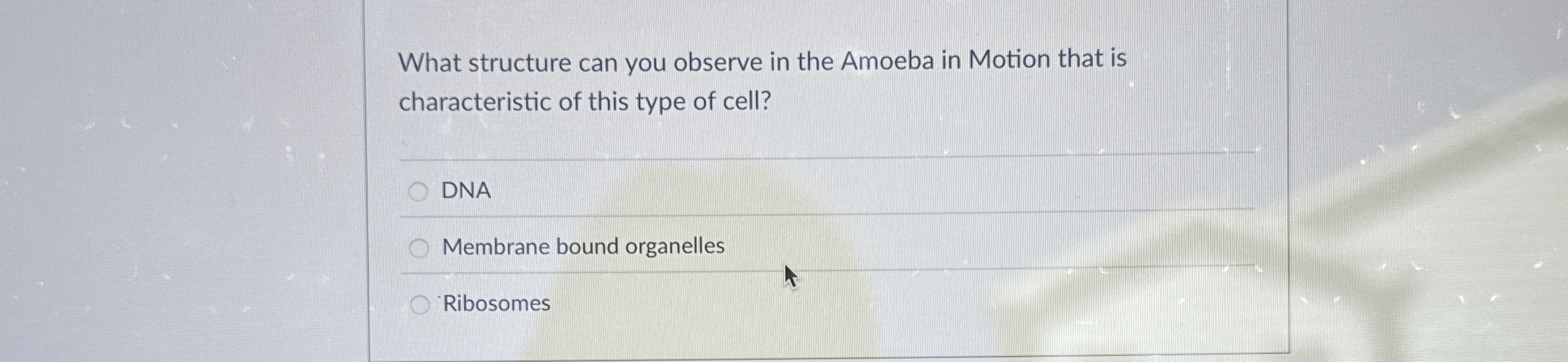 Solved What structure can you observe in the Amoeba in | Chegg.com