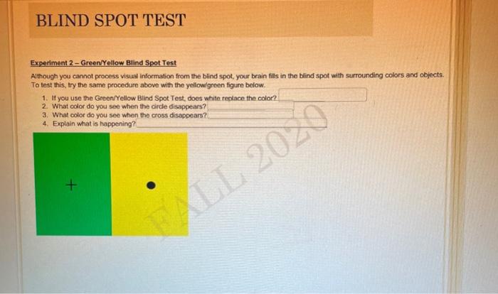 Solved BLIND SPOT TEST Experiment 3 Position your eyes 12 to | Chegg.com