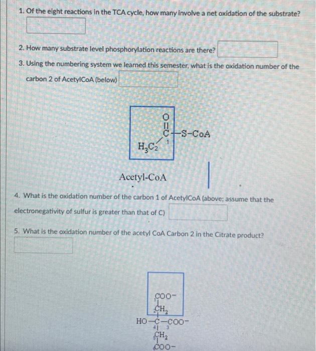 Solved 1. Of the eight reactions in the TCA cycle, how many | Chegg.com