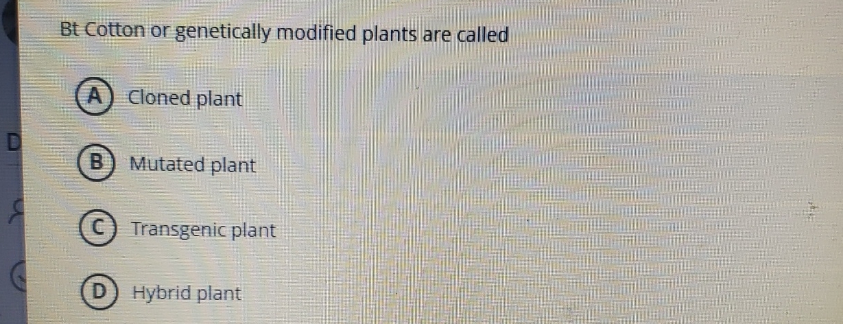 Solved Bt Cotton or genetically modified plants are | Chegg.com