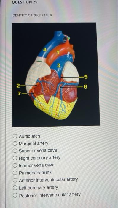 Solved QUESTION 29 IDENTIFY BLOOD TYPE 2 Control Anti-A | Chegg.com