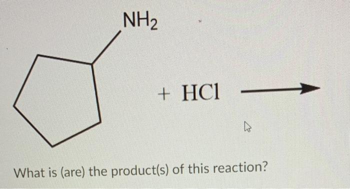 Solved NH2 + HCl 7 What is (are) the product(s) of this | Chegg.com