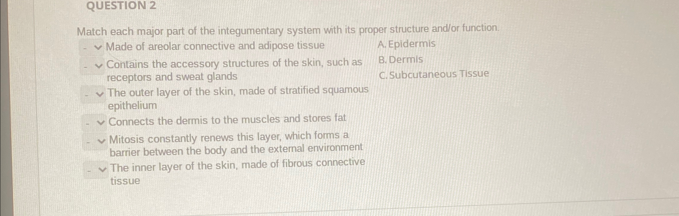 Solved QUESTION 2Match each major part of the integumentary | Chegg.com