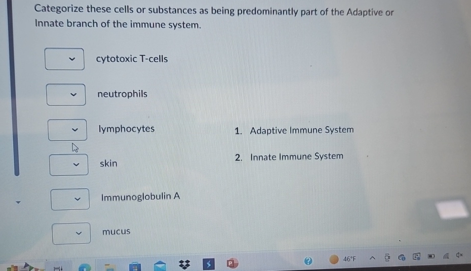 Solved Categorize these cells or substances as being | Chegg.com