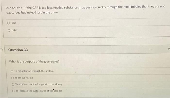 Solved Which Of The Choices Below Is NOT An Essential Role Chegg