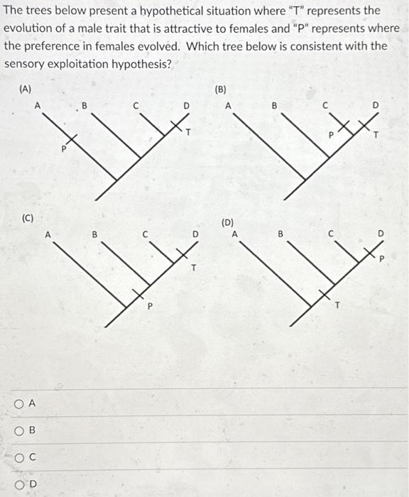 Solved The trees below present a hypothetical situation | Chegg.com
