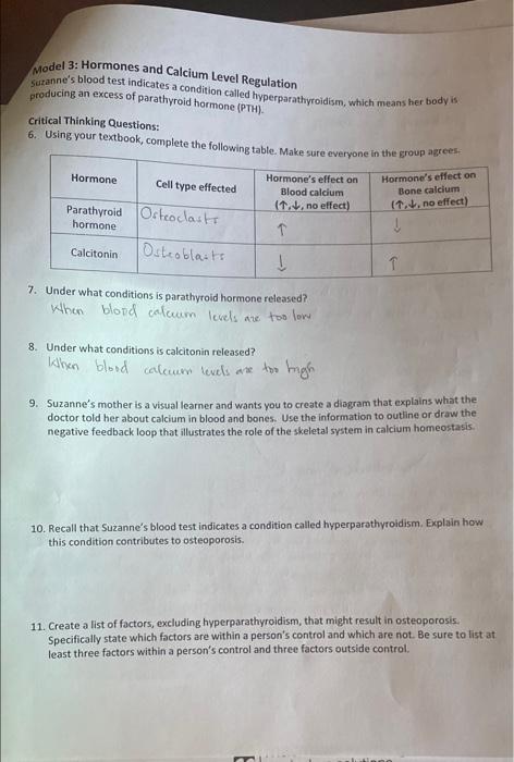 Solved Model 3: Hormones and Calcium Level Regulation | Chegg.com