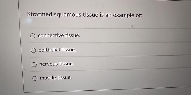 Solved Stratified squamous tissue is an example | Chegg.com