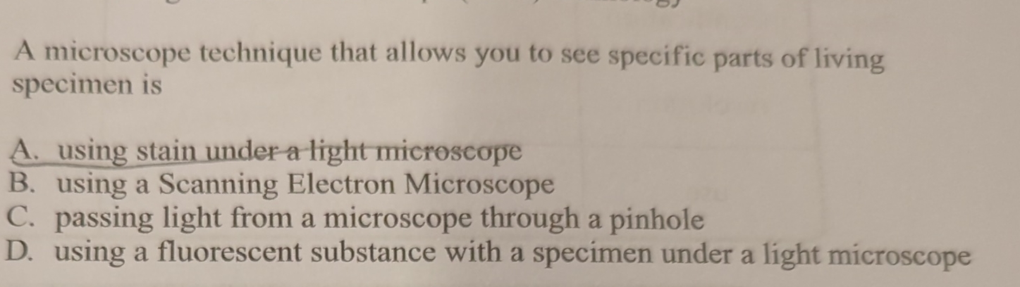 Solved A microscope technique that allows you to see | Chegg.com