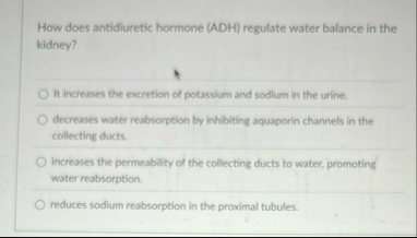 Solved How does antidiuretic hormone (ADH) ﻿regulate water | Chegg.com