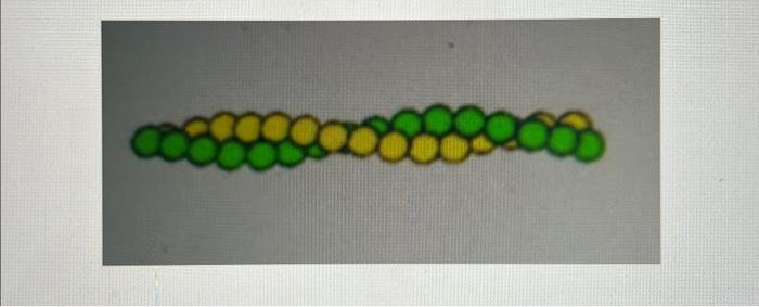 Solved The information to build a cellular protein is | Chegg.com