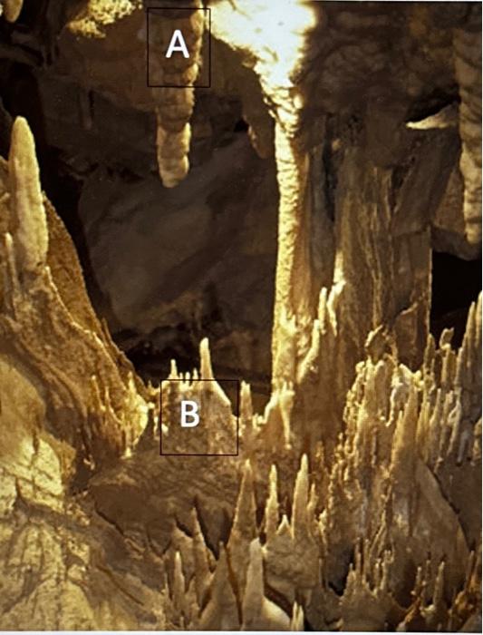 Solved describe where, and how Karst top, Graffi develops | Chegg.com