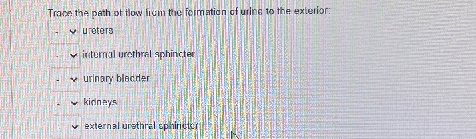 Solved Trace the path of flow from the formation of urine to | Chegg.com