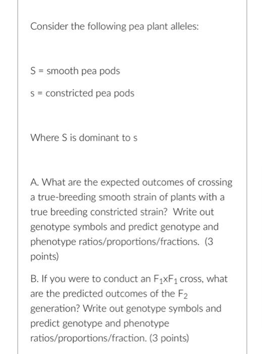 Solved Consider the following pea plant alleles: S= smooth | Chegg.com