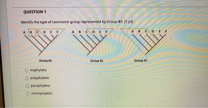 Solved QUESTION 1 Identify the type of taxonomic group | Chegg.com