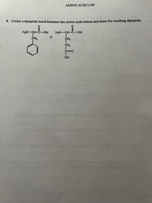 Solved 3. Create a dipeptide bond between the amino acids | Chegg.com