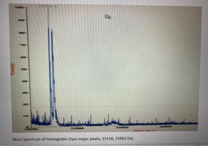 Solved Mass Spectrum of hemoglobin (two major peaks, 15156, | Chegg.com