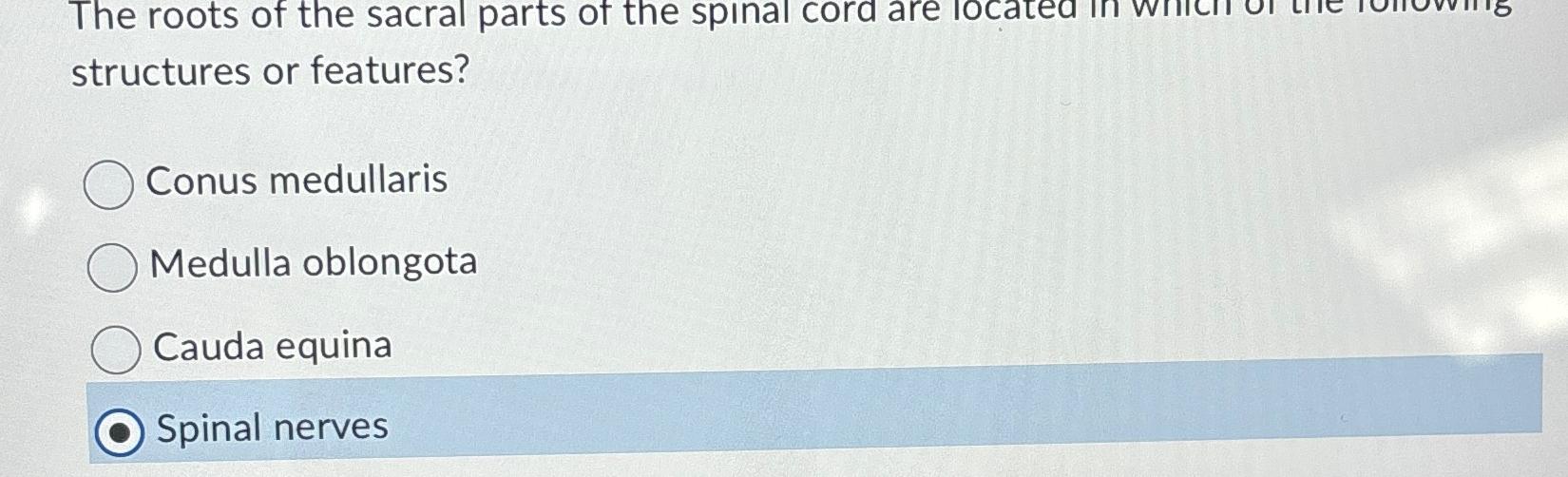 Solved structures or features?Conus medullarisMedulla | Chegg.com