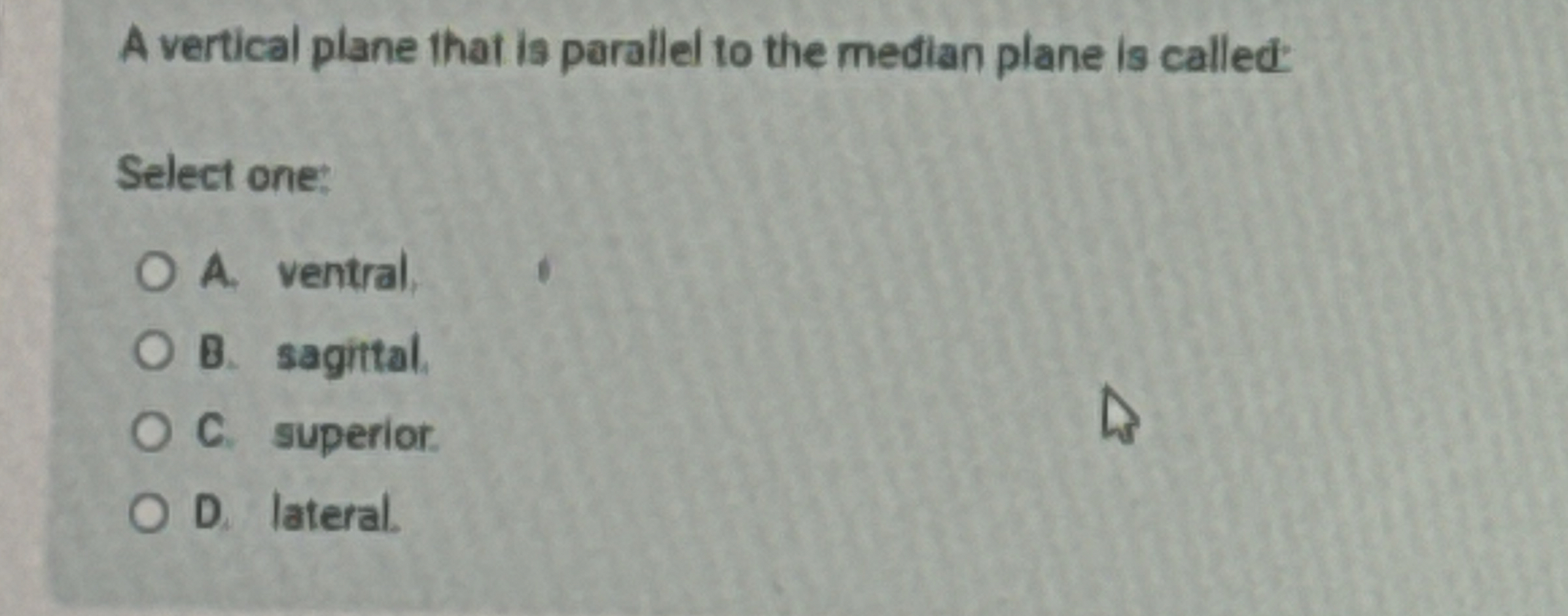 Solved A vertical plane that is parallel to the median plane | Chegg.com