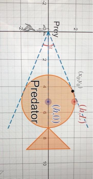 Solved The Zebra Danio and a Looming Predator Visual angles | Chegg.com
