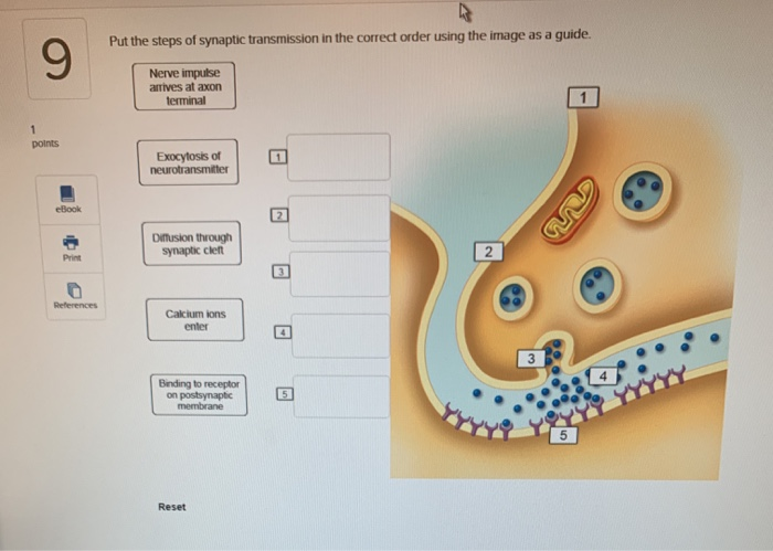 Solved Match each description with the correct part of a | Chegg.com