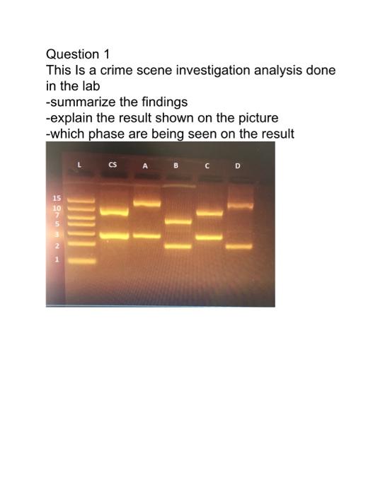 Solved Question 1 This is a crime scene investigation | Chegg.com