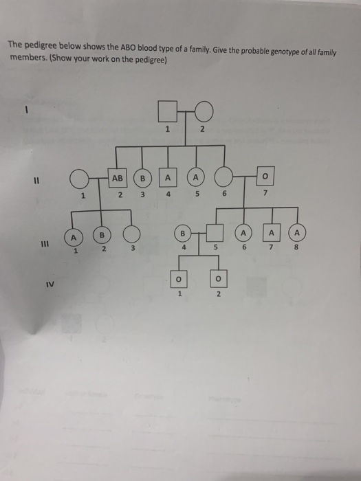 Solved The pedigree below shows the ABO blood type of a | Chegg.com