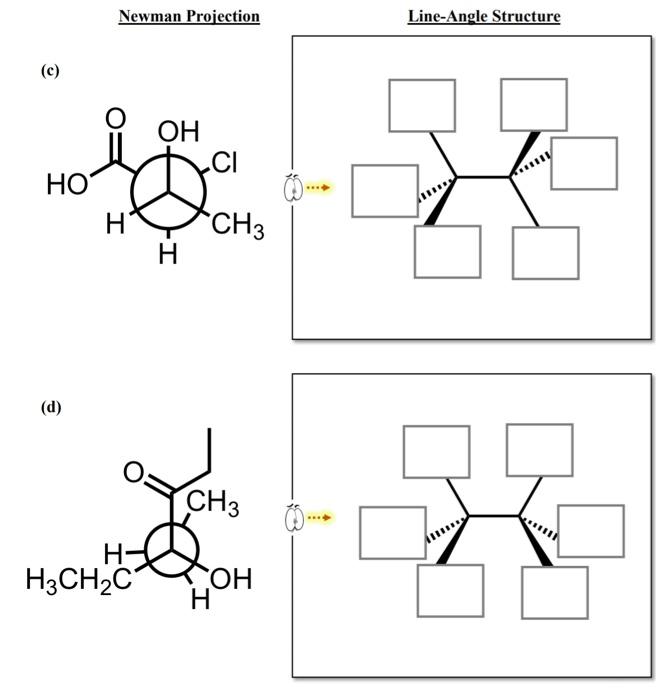 Solved (c) Newman Projection Line-Angle Structure (d) | Chegg.com