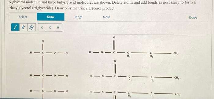 Solved Which of the compounds are hydrolyzable lipids? moni | Chegg.com