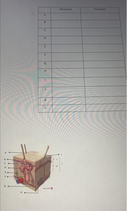 Solved please cna anyone label and expalin the functions | Chegg.com