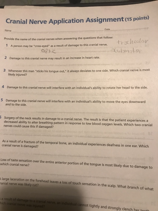 Solved Cranial Nerve Application Assignment (15 points) Date | Chegg.com