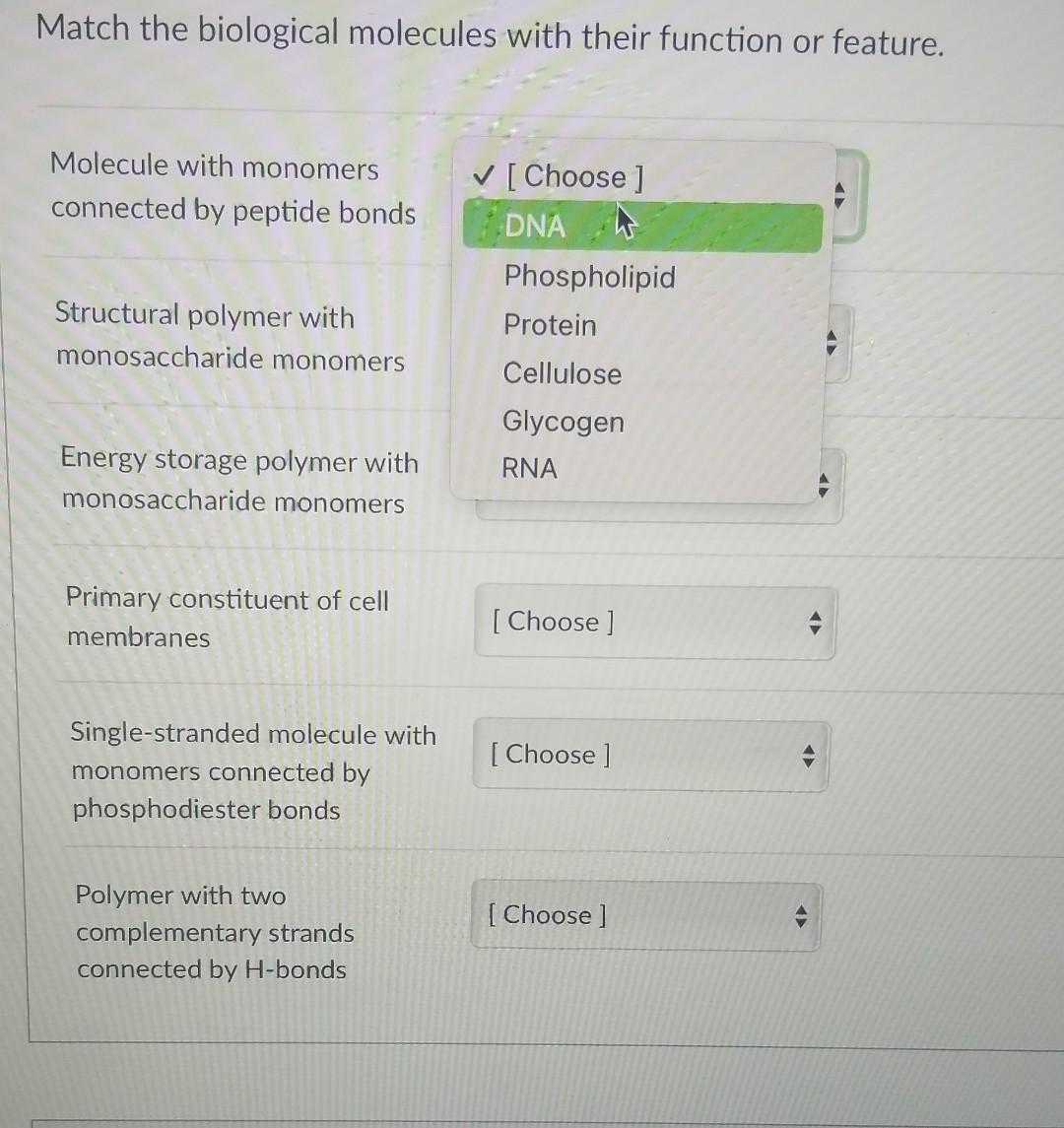 Solved Match the biological molecules with their function or | Chegg.com