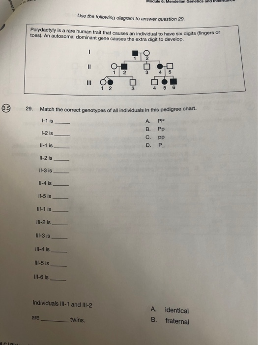 Solved Mode Mendelian Genetics and where Use the following | Chegg.com