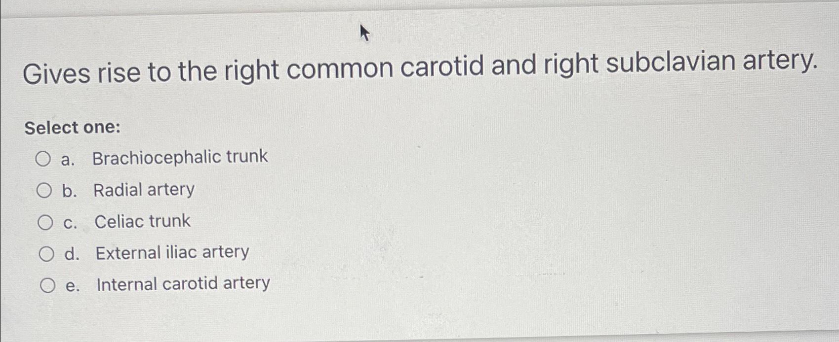 Solved Gives rise to the right common carotid and right | Chegg.com