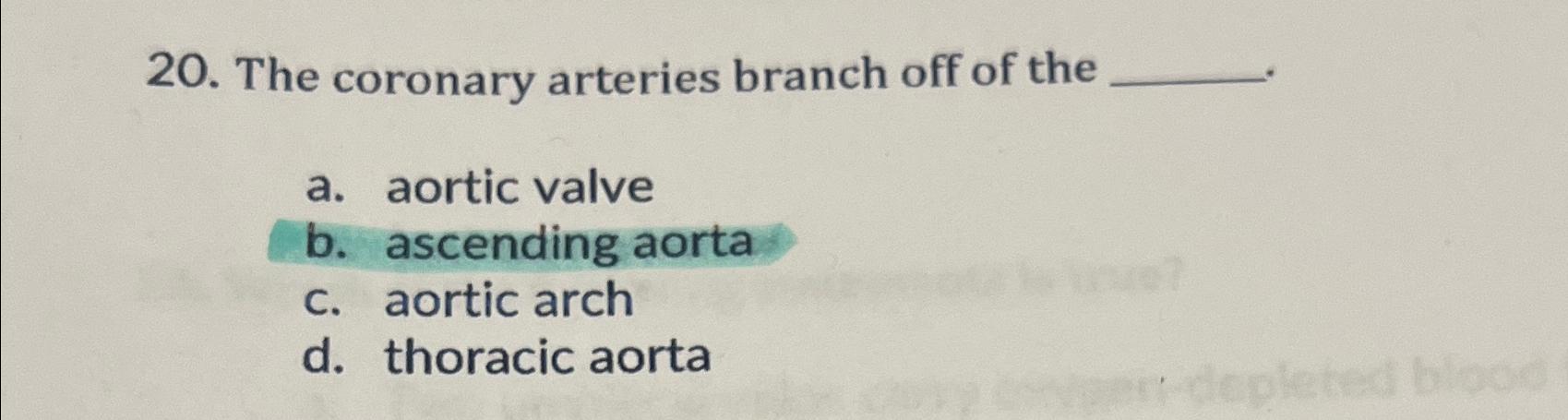 Solved The coronary arteries branch off of thea. ﻿aortic | Chegg.com