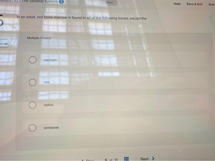 Solved The Skeletal System Saved Help Save & Exit Sub In an | Chegg.com