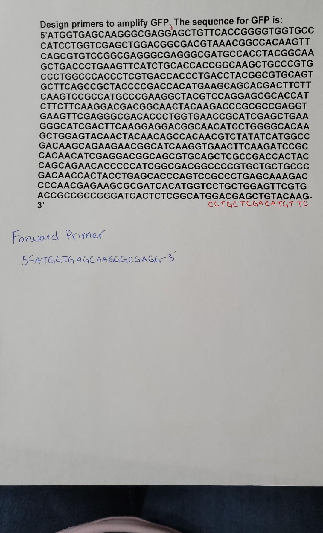 Solved What is the reverse primer for this sequence and how | Chegg.com