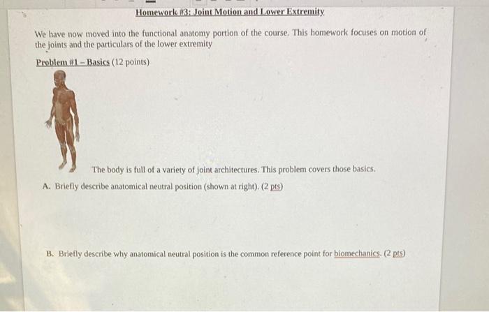 Solved A. Briefly describe anatomical neutral position | Chegg.com