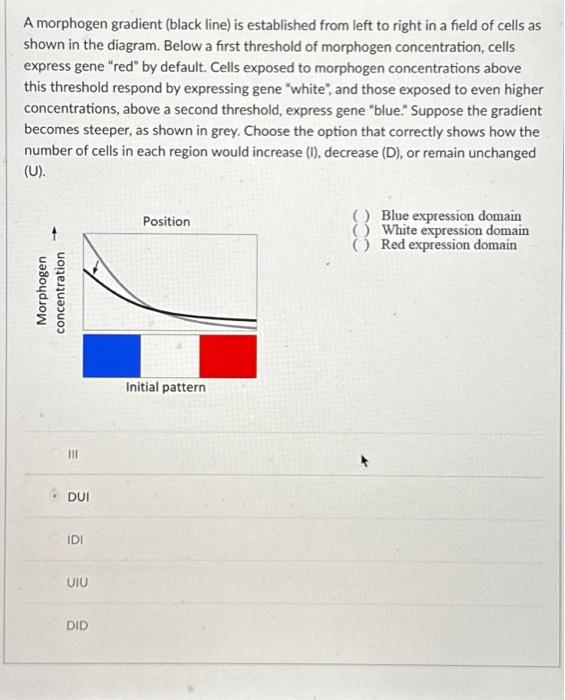 Solved A morphogen gradient (black line) is established from | Chegg.com