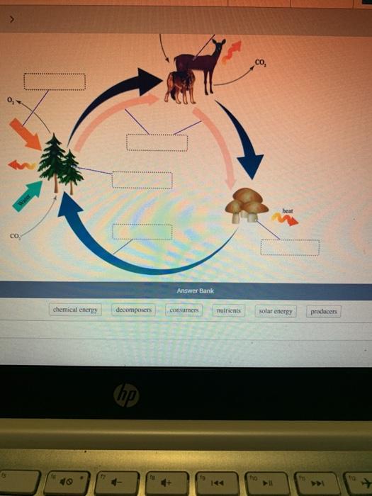 Solved Assignment Score: 33.394 Resources Hint Question 8 of | Chegg.com