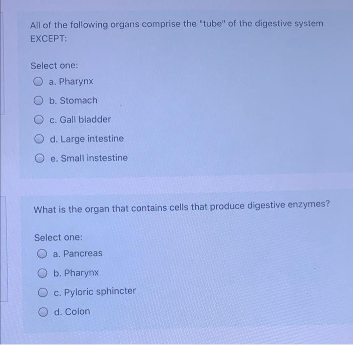 Solved All of the following organs comprise the "tube" of | Chegg.com