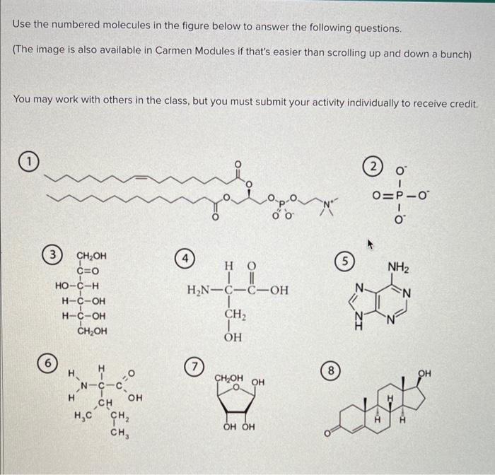 Solved 1. consider molecule #1. how are these molecules | Chegg.com