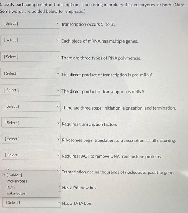 Solved Classify each component of transcription as occurring | Chegg.com