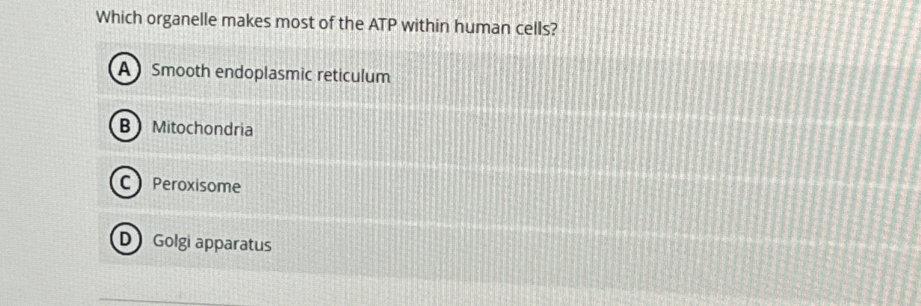 Solved Which organelle makes most of the ATP within human | Chegg.com
